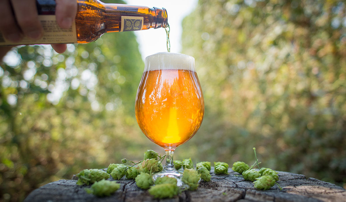 IPAs: Exploring Bitterness, Flavors, and Coast Variations