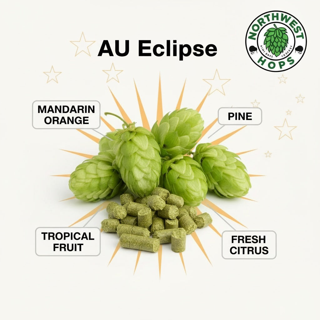 2024 AU Eclipse Hops – Mandarin & Pine Aroma | Northwest Hops