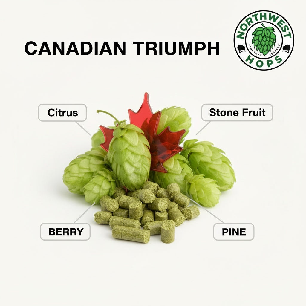 2025 Canadian Triumph Hops – Fruity & Floral Aroma | Northwest Hops