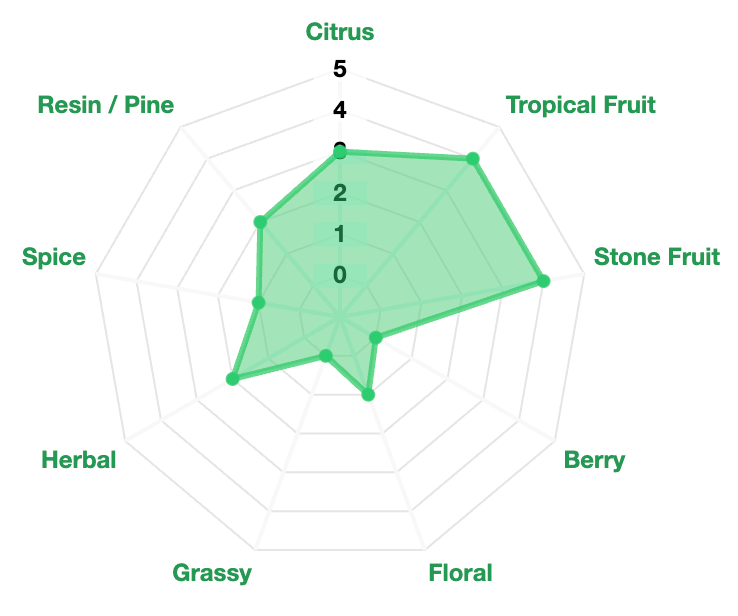 2025 US Idaho 7 Hops – Tropical Fruit & Pine Aroma | Northwest Hops