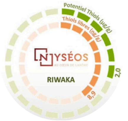 2025 NZ Riwaka Hops – Intense Citrus & Passionfruit | Northwest Hops